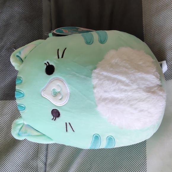 Squishmallows | Toys | Corinna The Cat Squishmallows | Poshmark
